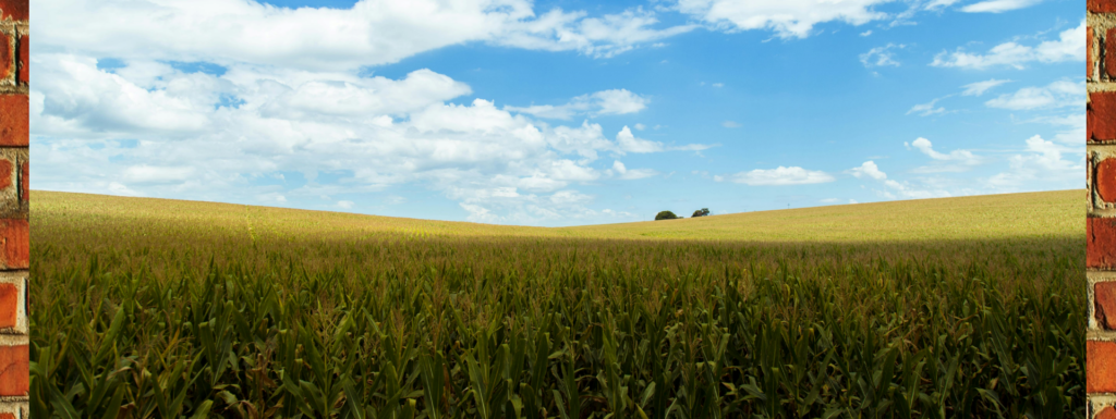 Nebraska Day: Celebrating the State and Its Iconic Movies - Green ...